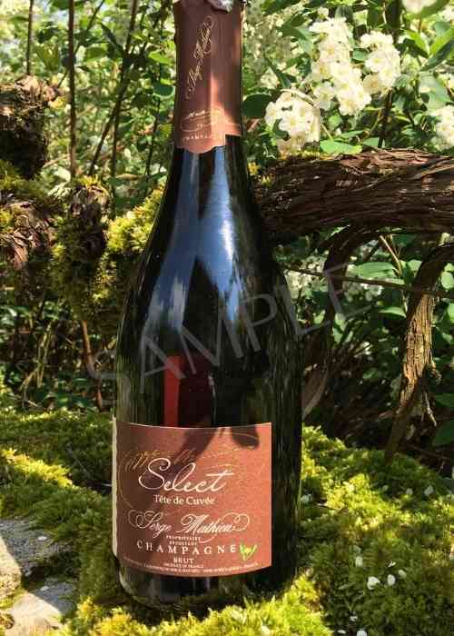 「Serge Mathieu（セルジュ マチュー）」シャンパン図鑑 | Champagne Freak（シャンパンふりーく）