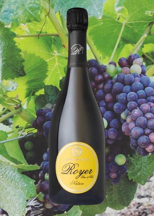「Royer（ロワイエ）」シャンパン図鑑 | Champagne Freak（シャンパンふりーく）